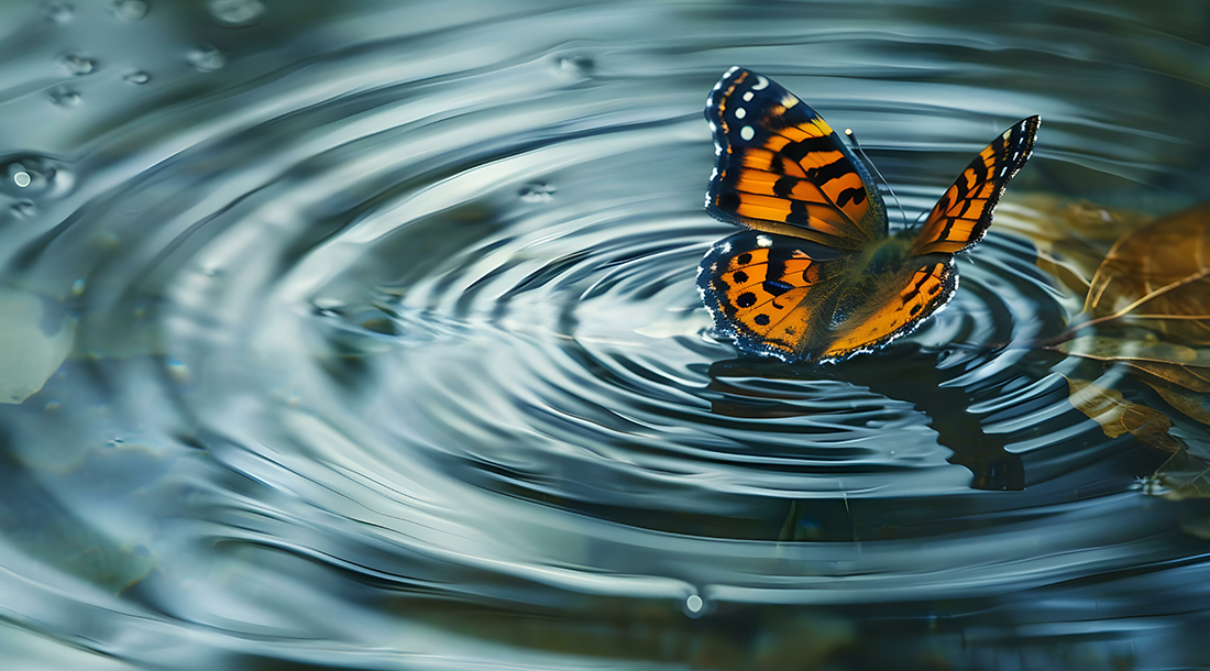 Tipps zur Nutzung des Schmetterlingseffekts beim Networking – Sandro Moor